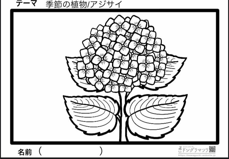 夏の塗り絵まとめ 6月に使えるぬり絵一覧 高齢者用脳トレ 塗り絵無料 ドングリマツリ 認知症予防クイズ レク